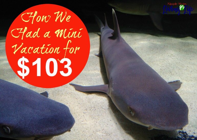 How We Had a Mini Vacation for $103 - SimpleStepsForLivingLife
