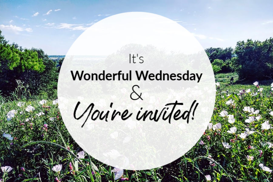 Wonderful Wednesday - SimpleStepsForLivingLife