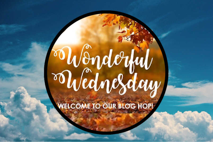 Wonderful Wednesdays Linky Partay! | SimpleStepsForLivingLife