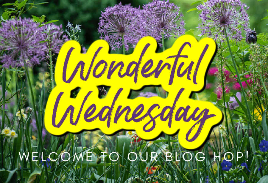 Wonderful Wednesday - SimpleStepsForLivingLife
