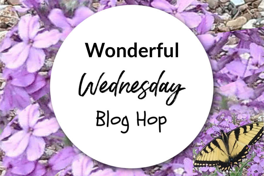 Wonderful Wednesday - SimpleStepsForLivingLife