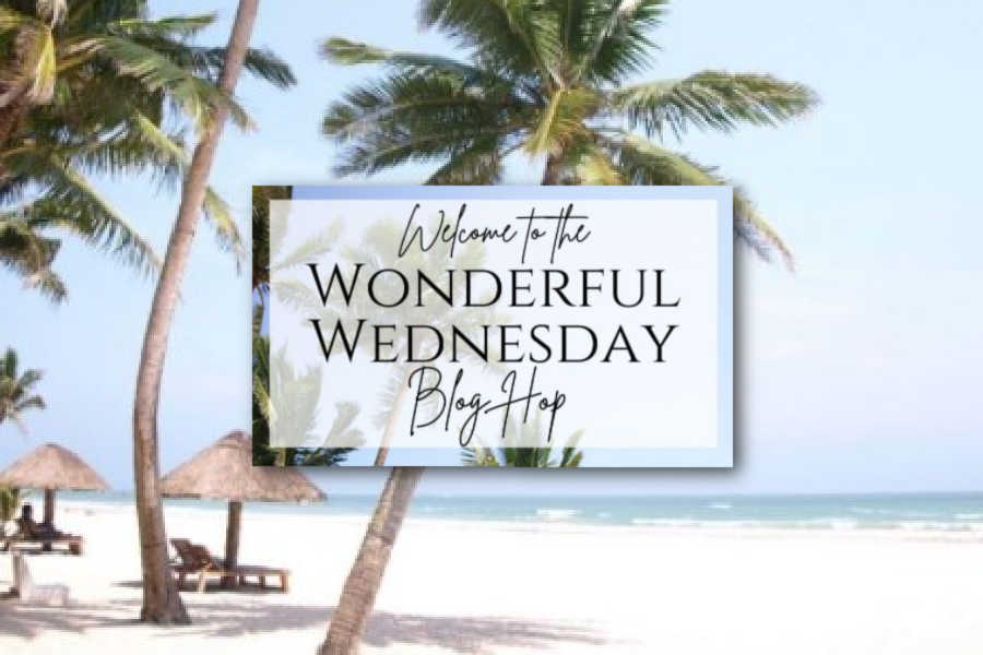 Wonderful Wednesday - SimpleStepsForLivingLife
