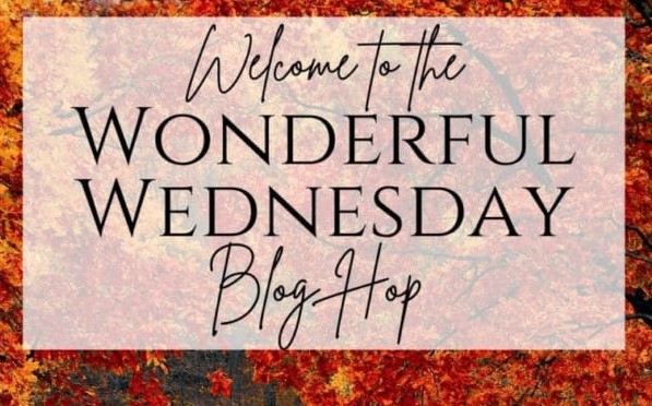Wonderful Wednesday - SimpleStepsForLivingLife