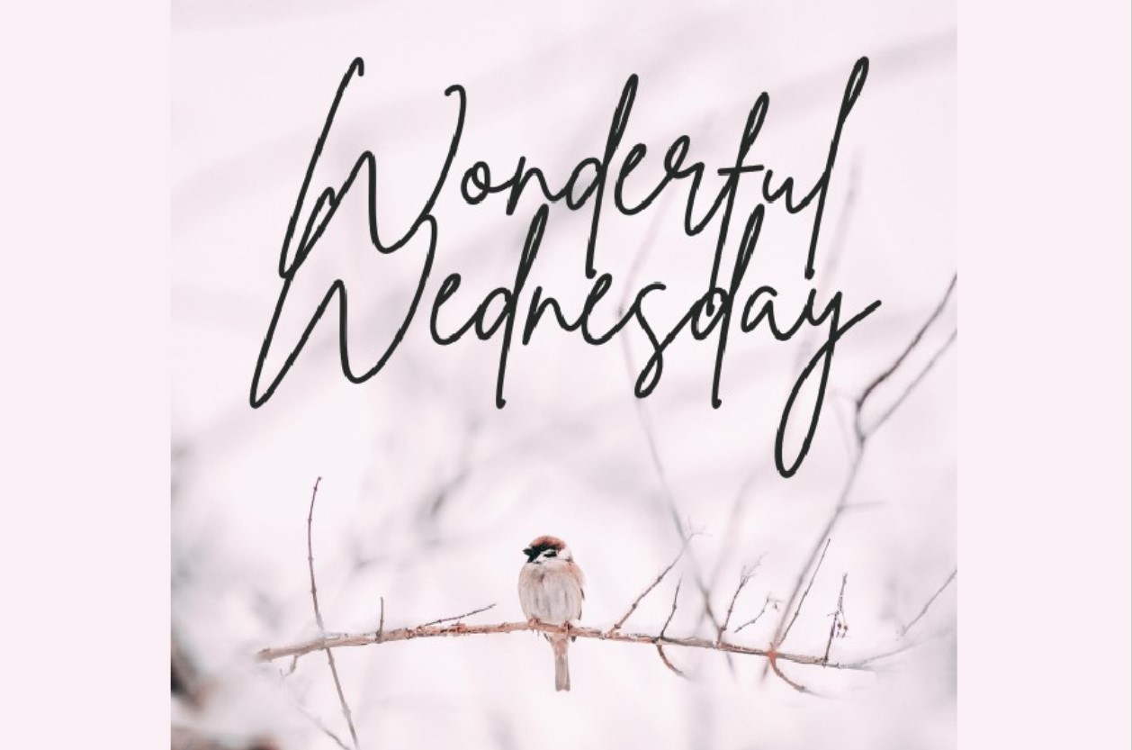 Wonderful Wednesday - SimpleStepsForLivingLife