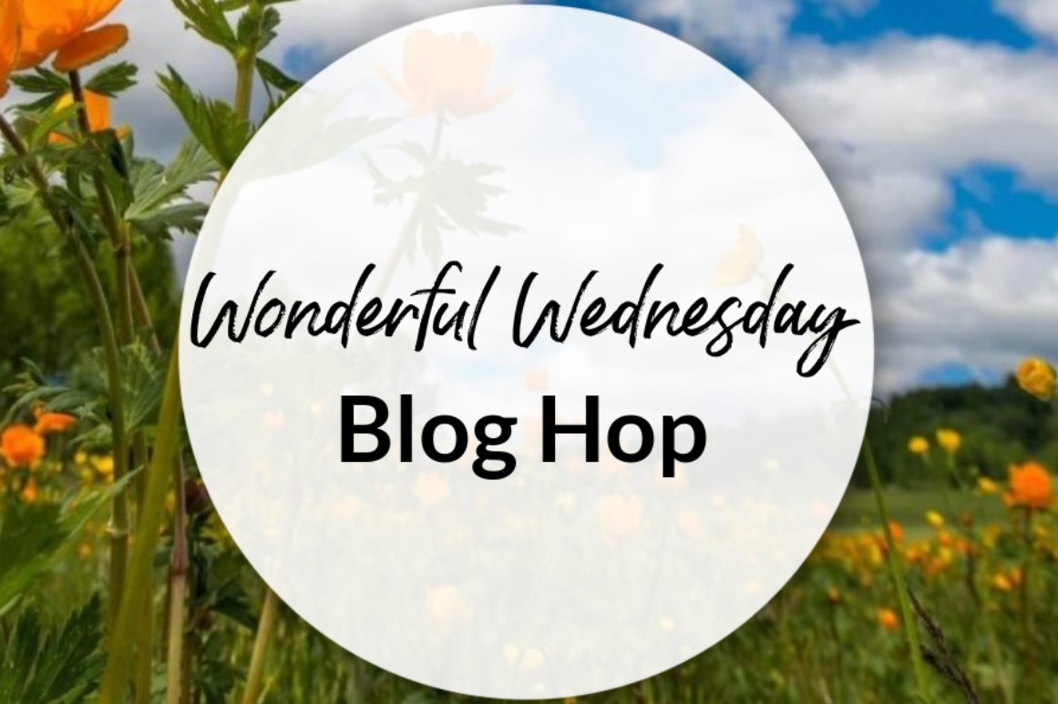 Wonderful Wednesday - SimpleStepsForLivingLife